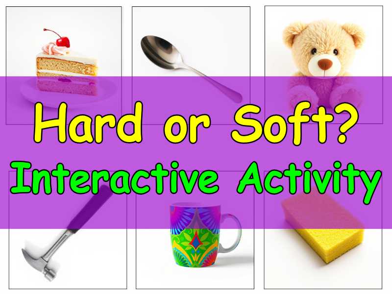Sort Hard and Soft Objects Online – Interactive Activity for Kindergarten