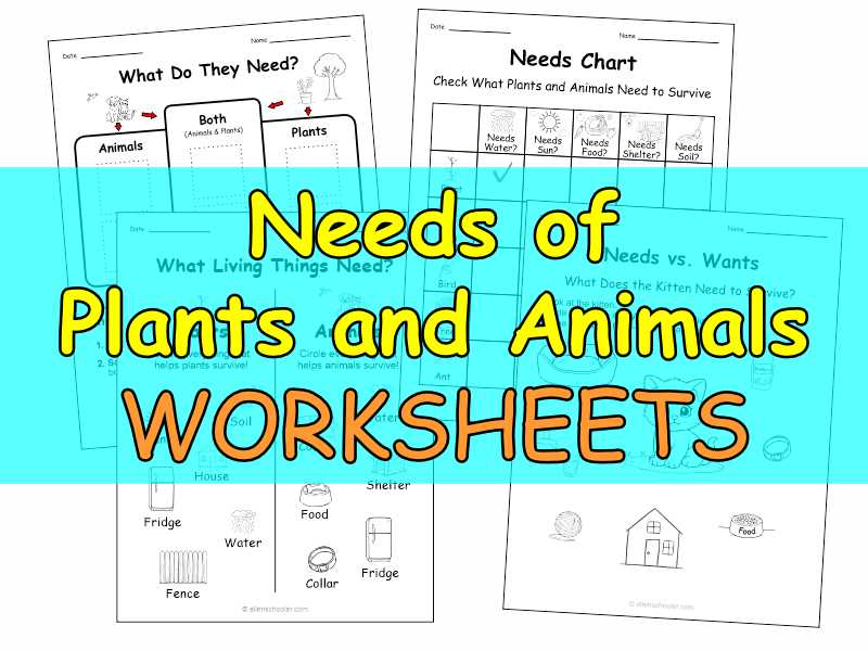 Free Needs of Plants and Animals Worksheets for Kindergarten (PDF)