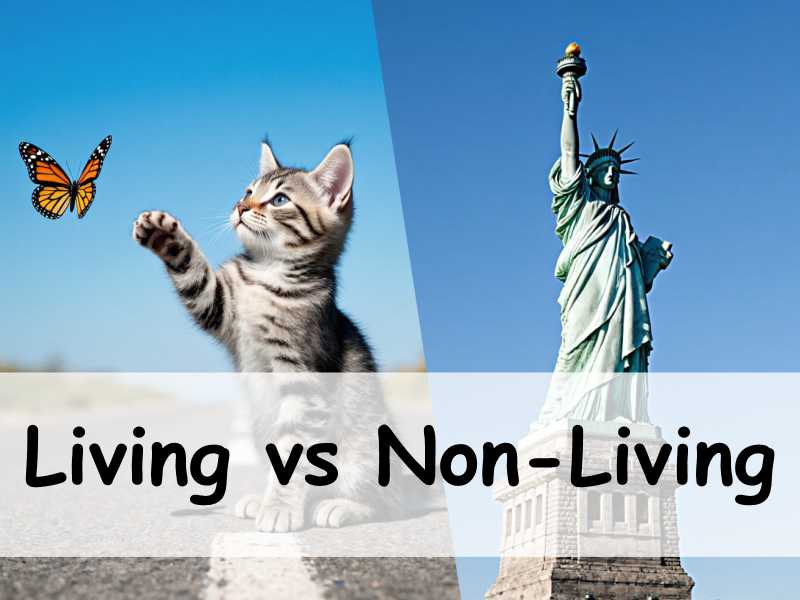 Activities for Teaching Living vs Non-Living Sorting - Free Printables ...